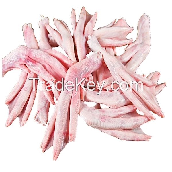 Frozen Duck feet for export By SENECA STOCK DELIVERY,