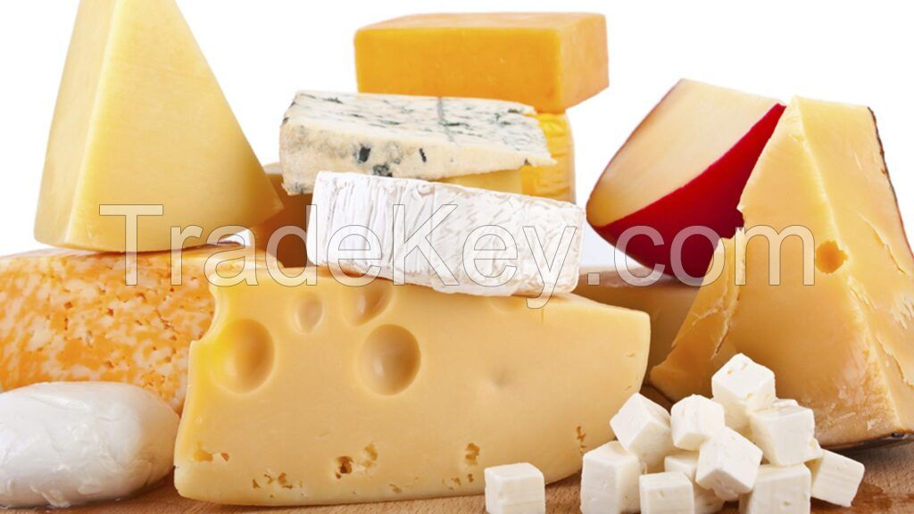 High Quality CHEESE By Agro Sumy,