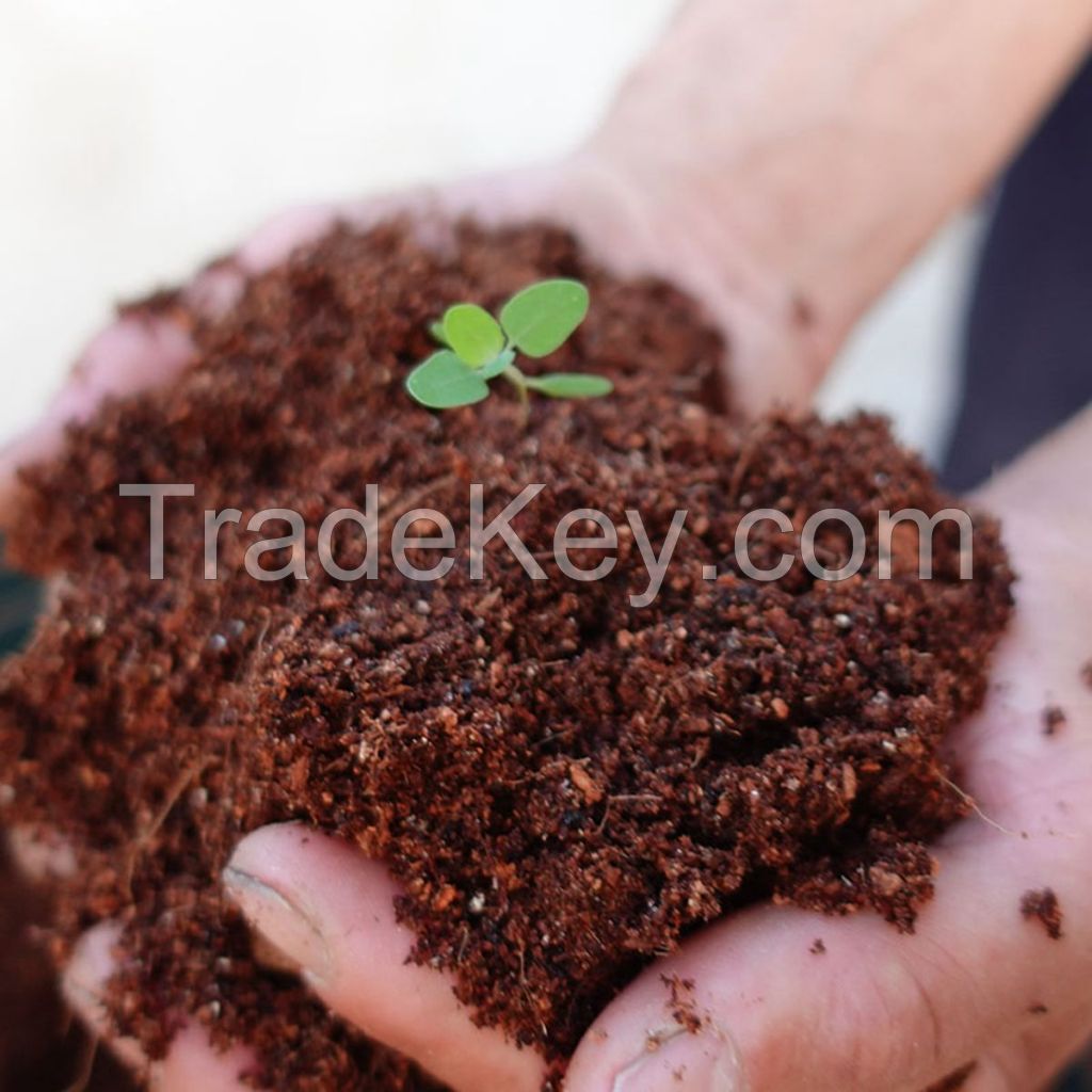 Soilless Nutrient Potting Plant Soil Nutrient Bed Peat Block Coconut ...