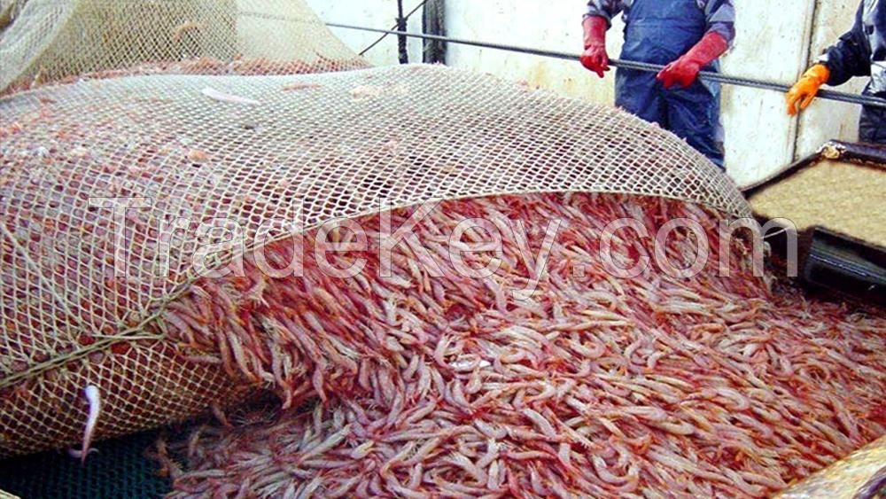 Item Black Tiger Shrimp, PD Type Shrimp Variety Black Tiger Shrimp, PD ...