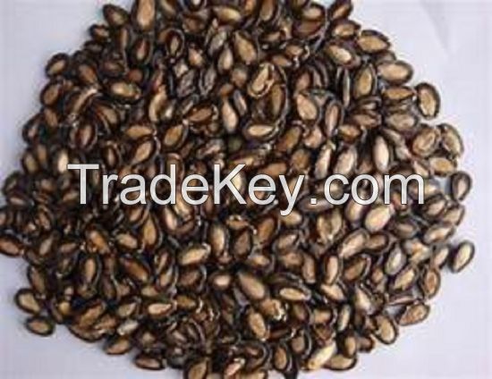 Red Watermelon Seed By First Source Trading,