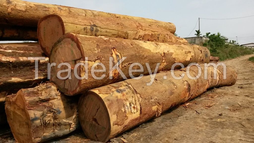 Africa hardwood for sale both in logs and lumbers By uso99marketing,