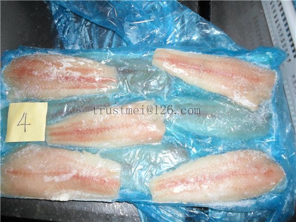 Pacific hake fillets IQF By Qingdao Trustmei International Co., Ltd ...