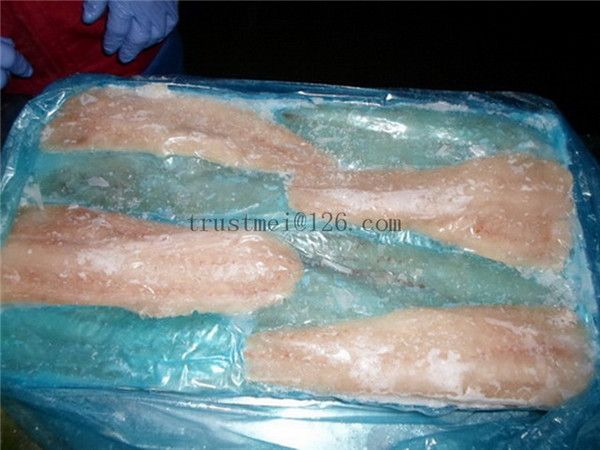 Pacific hake fillets IQF By Qingdao Trustmei International Co., Ltd ...