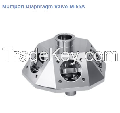 Multiple Channel Diaphragm Valve/Multiport Diaphragm Valve /Multiport ...