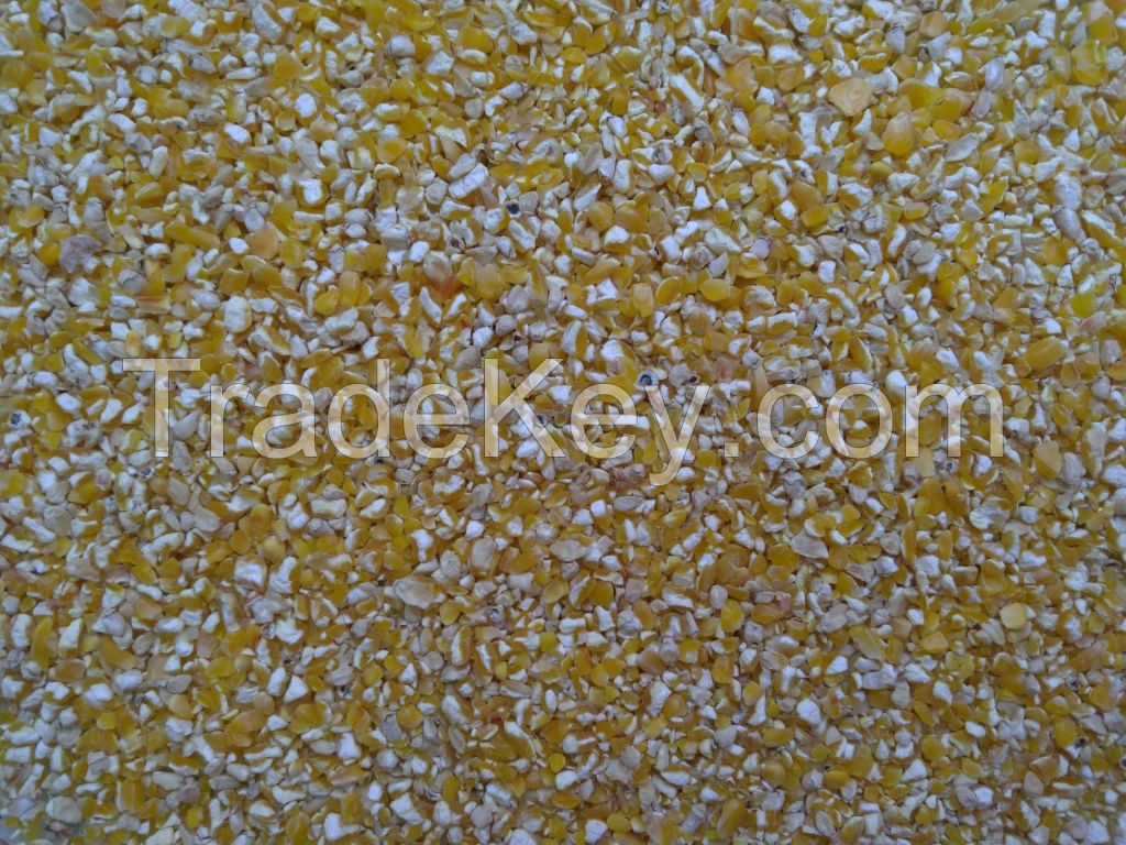 crushed corn By JNL company, Ukraine