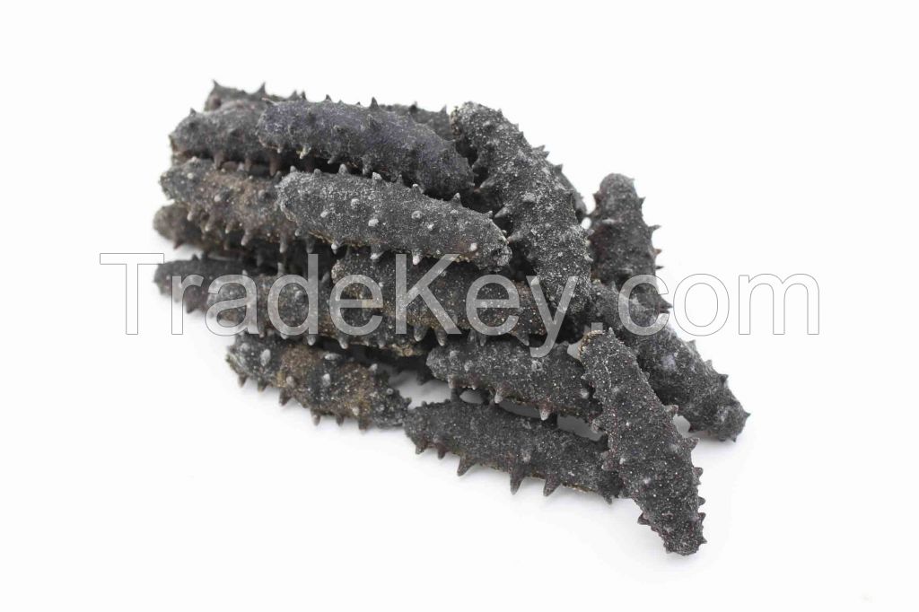 Wholesale price dried sea cucumber By Euro Asia G Trading Co.Ltd, Greece