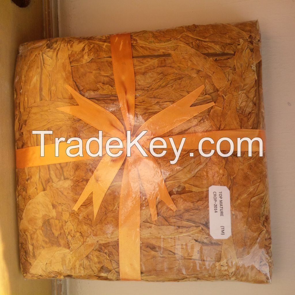 Flue Cured Virginia (FCV) Tobacco - Grade: TM (Top Mature) By Souvenir ...