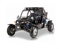 1100cc 2 Seater Liquid Cooled Power Buggy/250CC Water Cooled 4 Stroke ...